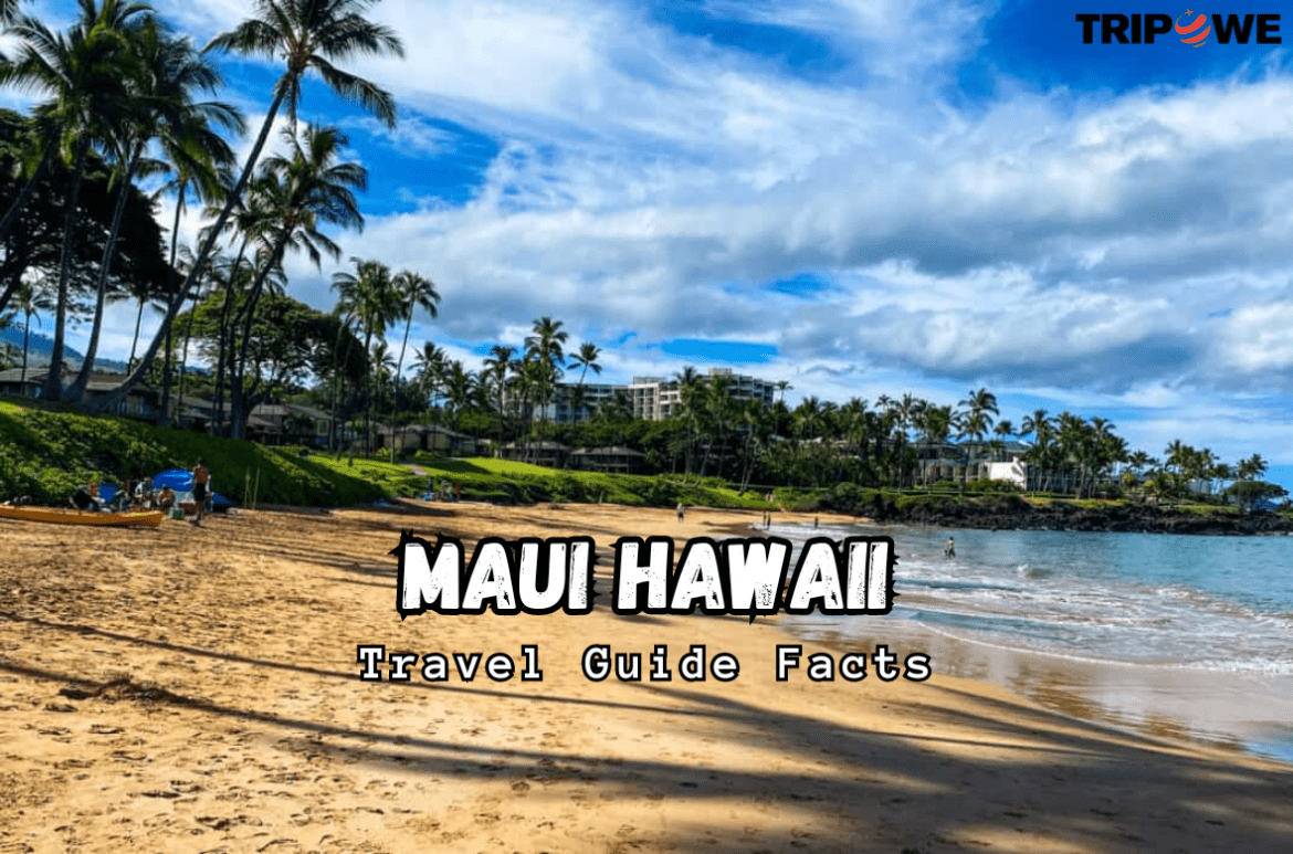 Maui Hawaii Travel Guide Facts - Tripowe