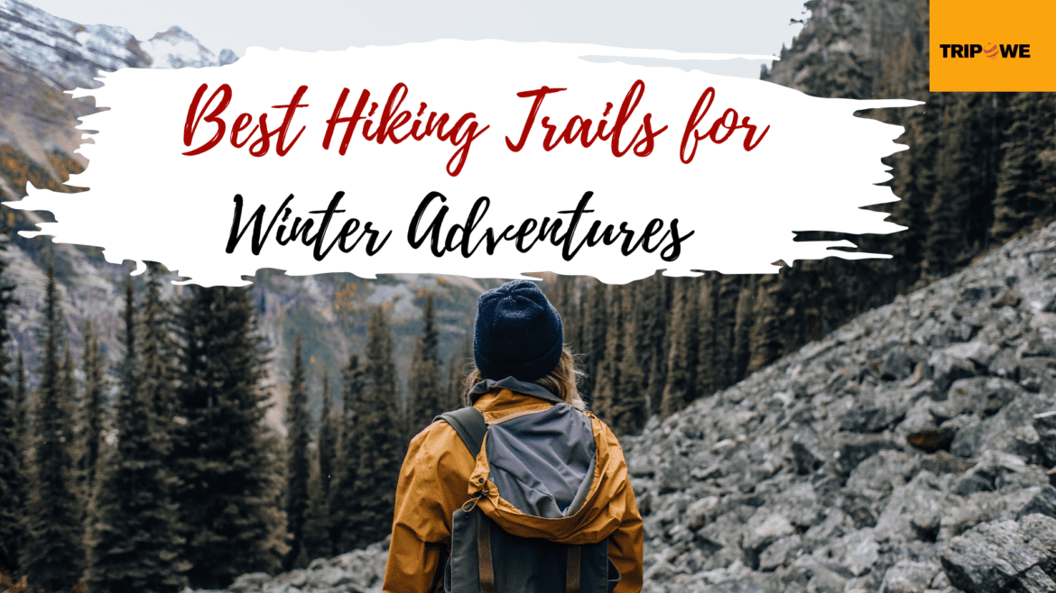 Best Hiking Trails for Winter Adventures - Tripowe