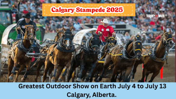 Calgary Stampede 2025: Greatest Outdoor Show on Earth July 4 to July 13 ...