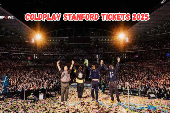 Halifax Music Fest 2025: Get Ready for Nickelback, The Killers , You ...