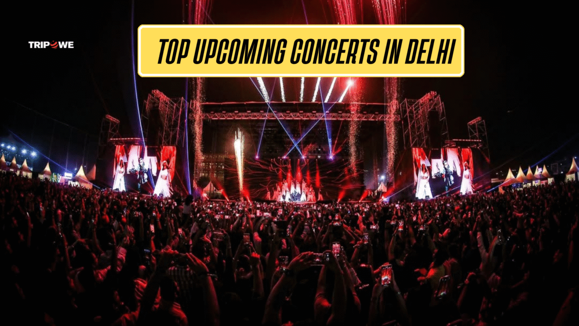 Top Upcoming Concerts in Delhi 2025 – May & June 2025 🎤 - Tripowe