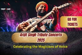 Top Upcoming Concerts in Delhi 2025 – May & June 2025 🎤 - Tripowe