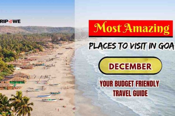 Goa Trip Plan For 3 Days Cost, Budget & Itinerary - Tripowe