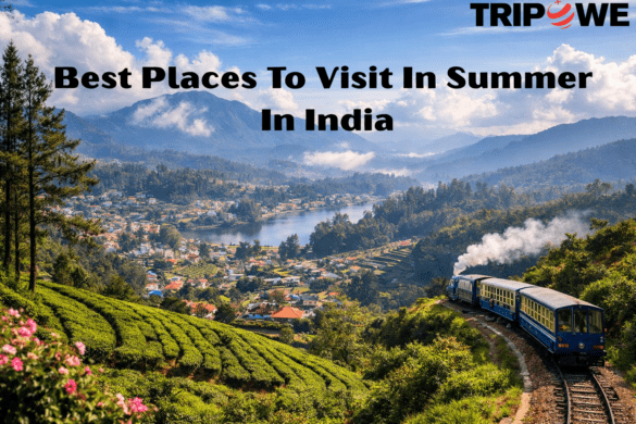 Best Snow Places to Visit in Kashmir During Summer 2026 - Tripowe